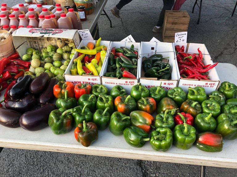 Experience the Harvest: Farmers Market Season 2026