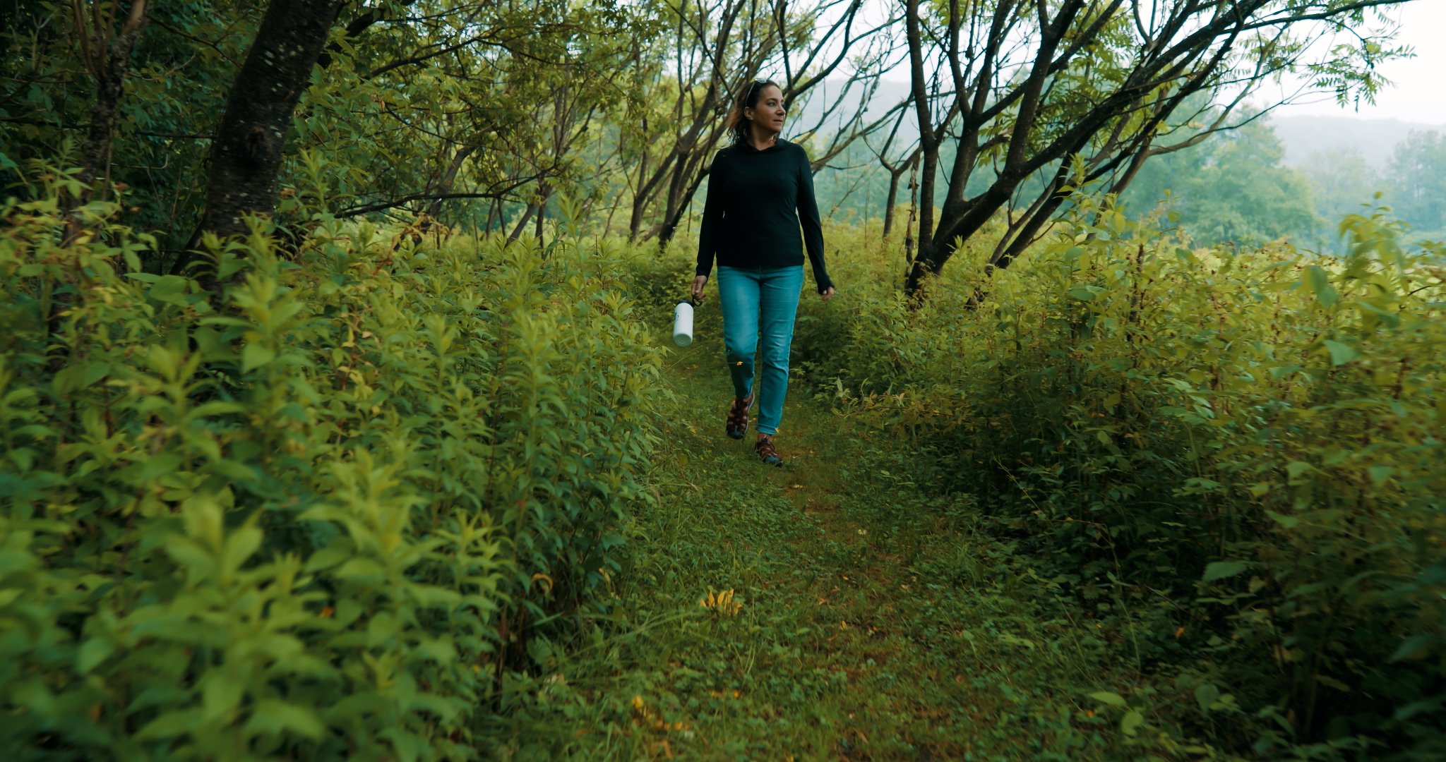 Tour Cayuga in the Finger Lakes: Discover all there is to see