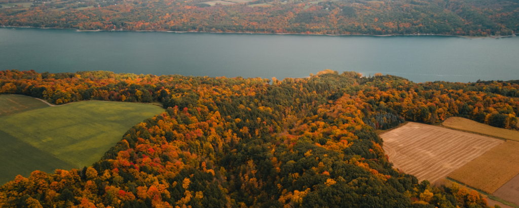 Find all the information you need to discover Cayuga County.